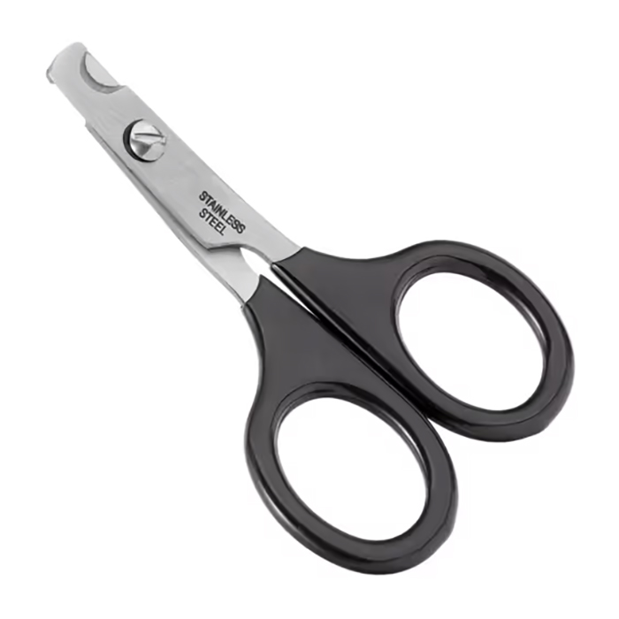 Obcinanie pazurków | Stowarzyszenie Pomocy Świnkom Morskim